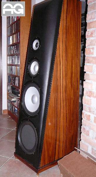 √ Thiel CS 7.2 Occasione Usato - Codice 73704