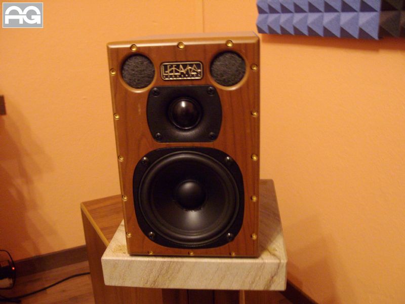 √ Leema Acoustic Xen Occasione Usato - Codice 105944