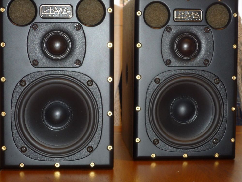 √ Leema Acoustics Leema Xen Occasione Usato - Codice 212020