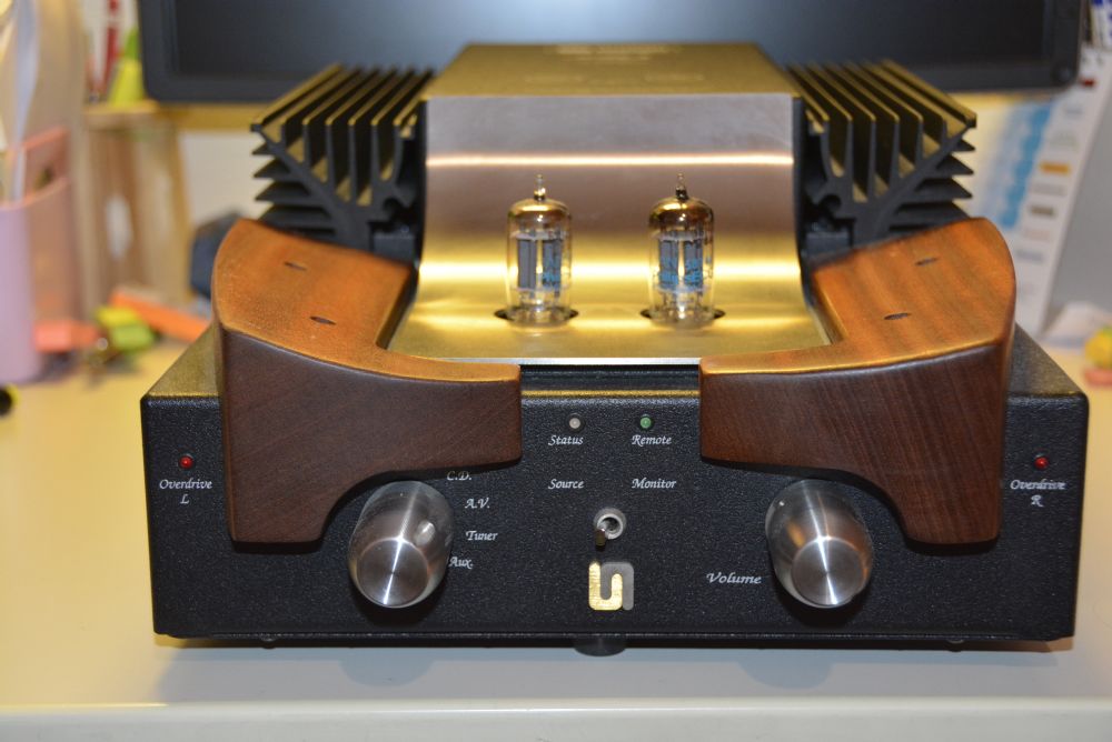 √ Unison Research Integrato Sr1 Occasione Usato - Codice 211726