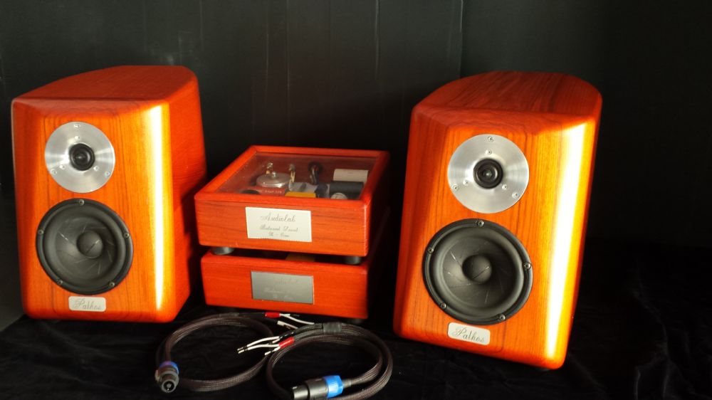 √ Gamut Rs3 Replica Occasione Usato - Codice 219245