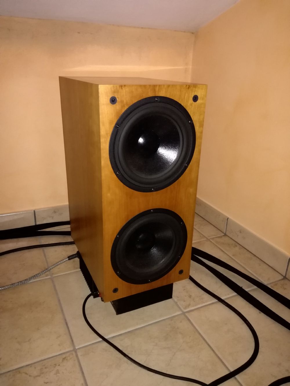 √ Audio Physic Luna Occasione Usato - Codice 225375