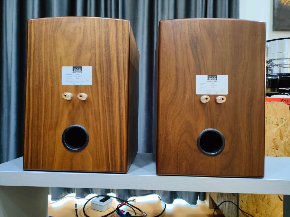 √ Woodsound Coax-8 Coppia Diffusori Hi-fi Occasione Usato Garantito ...