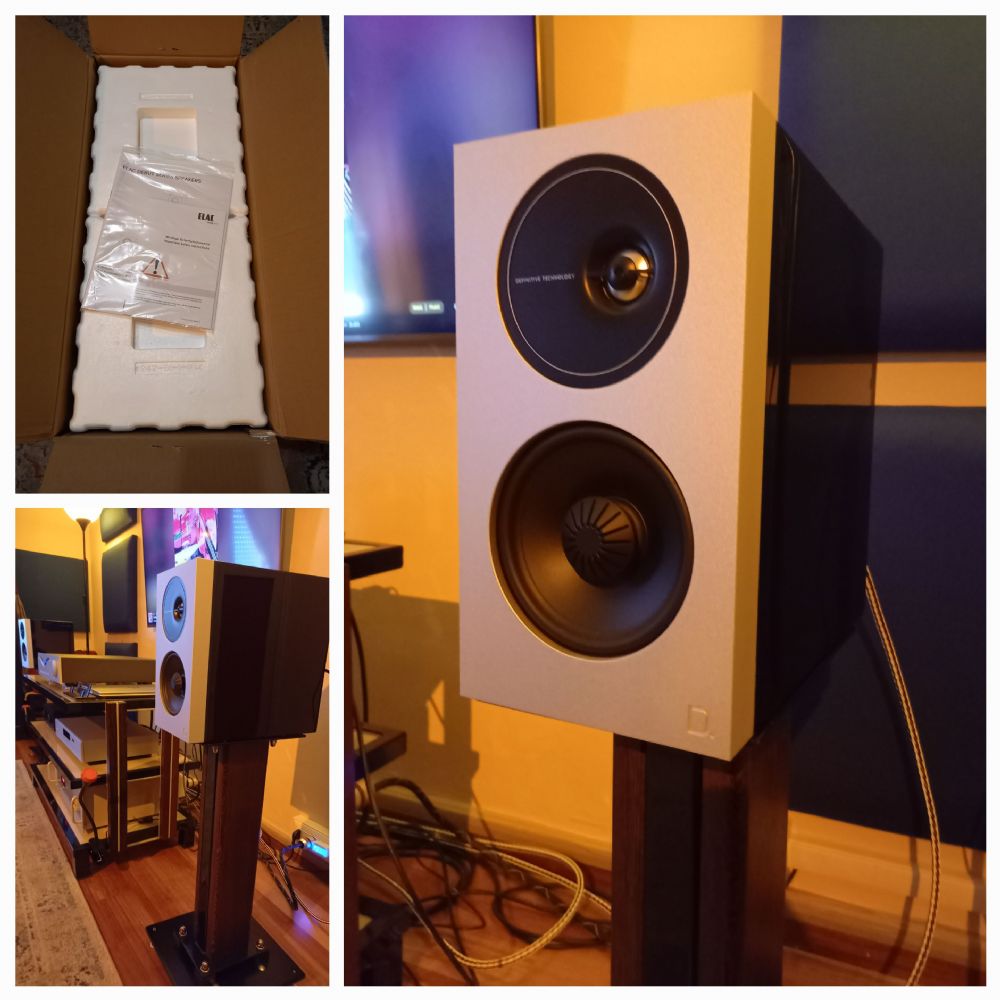 √ Definitive Technology Definitive Tecnology D9 Occasione Usato ...